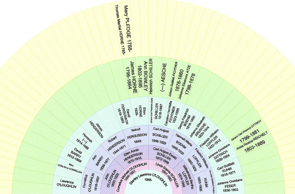 As will be seen from the fan chart below, this is how the Horne family ...